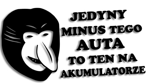 NOSACZ JANUSZ - JEDYNY MINUS TEGO AUTA TO TEN NA AKUMULATORZE - kolory ...